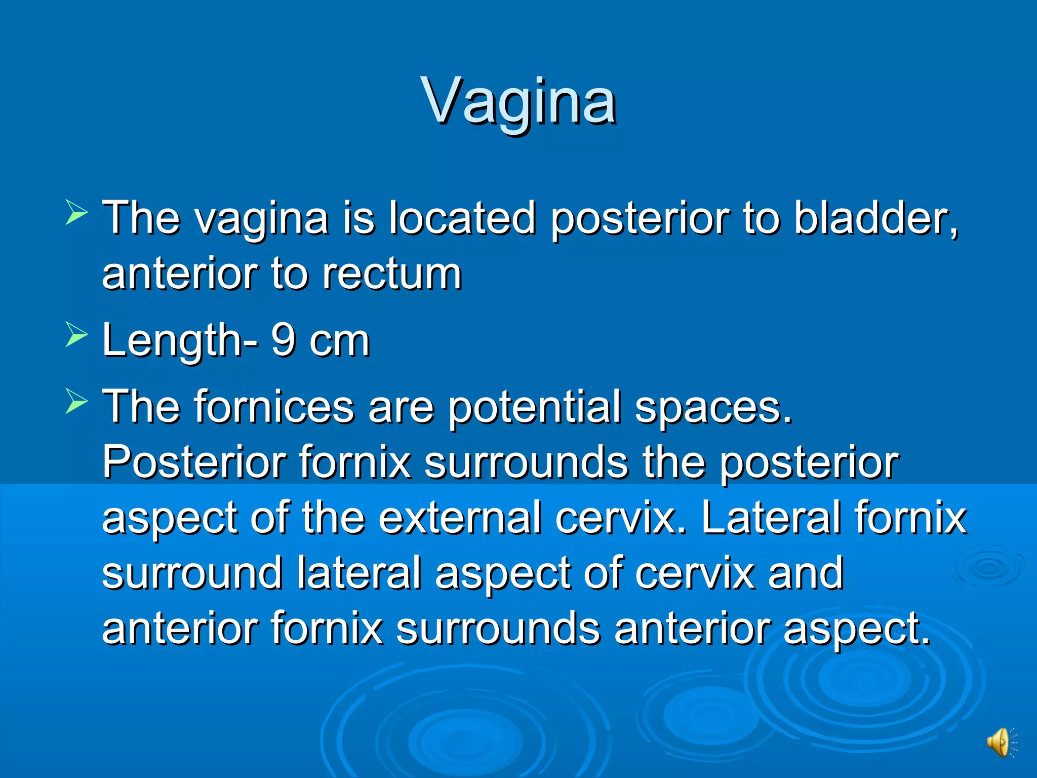 Sono 202 normal gyn anatomy | PPT
