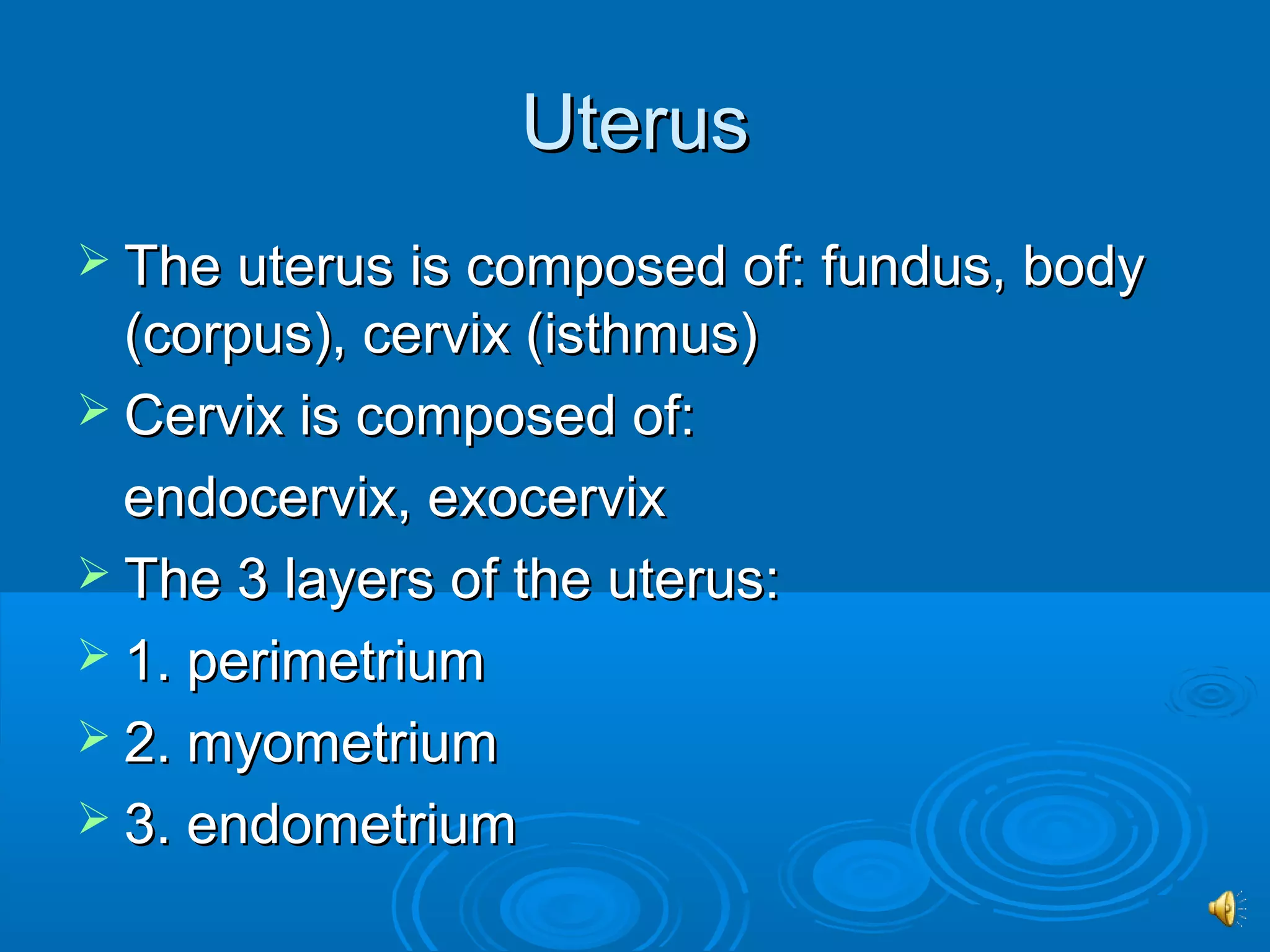 Sono 202 normal gyn anatomy | PPT
