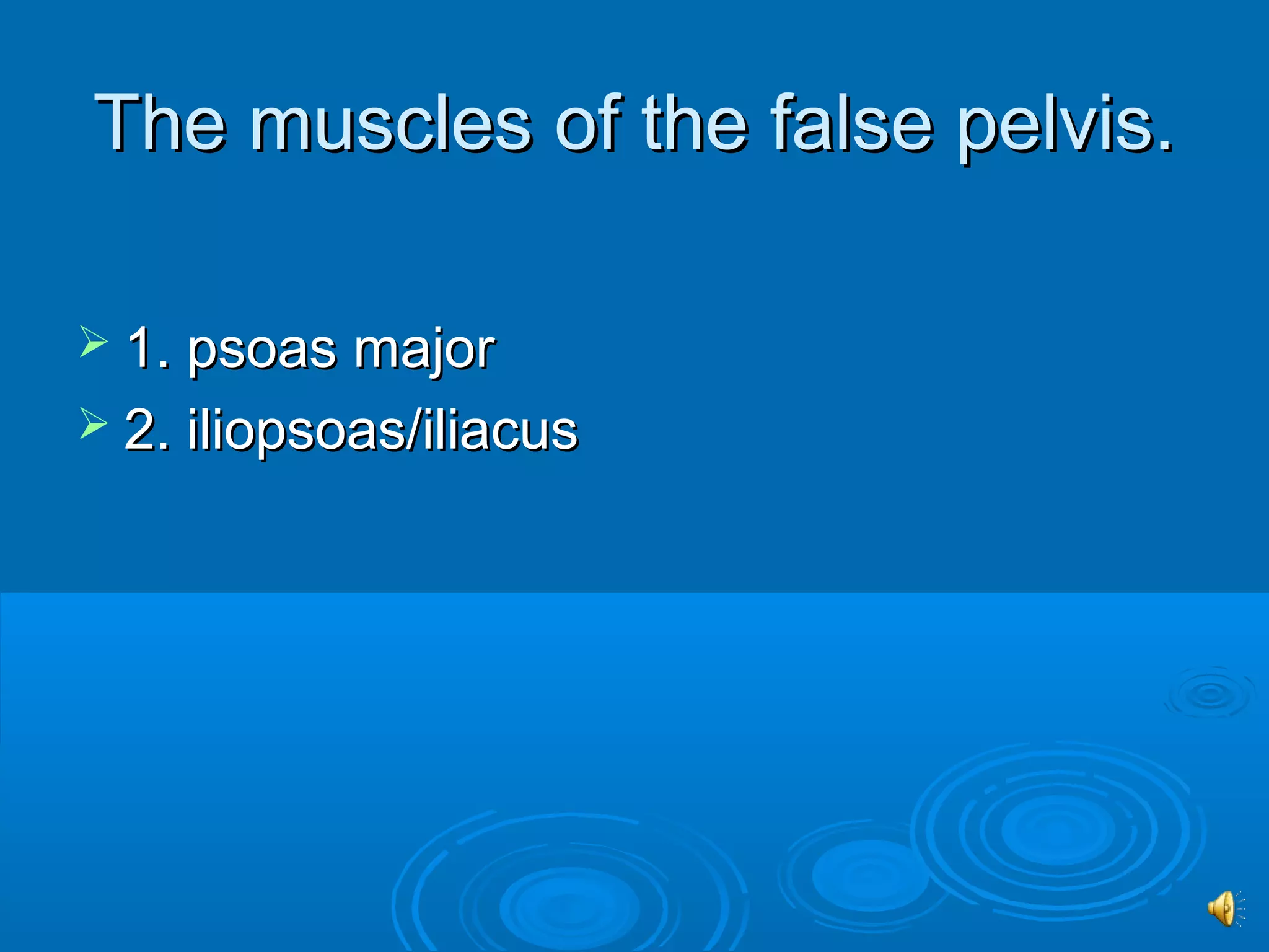 Sono 202 normal gyn anatomy | PPT