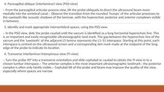 sonoanatomy of spine anaesthesia pov ppt. | PPTX