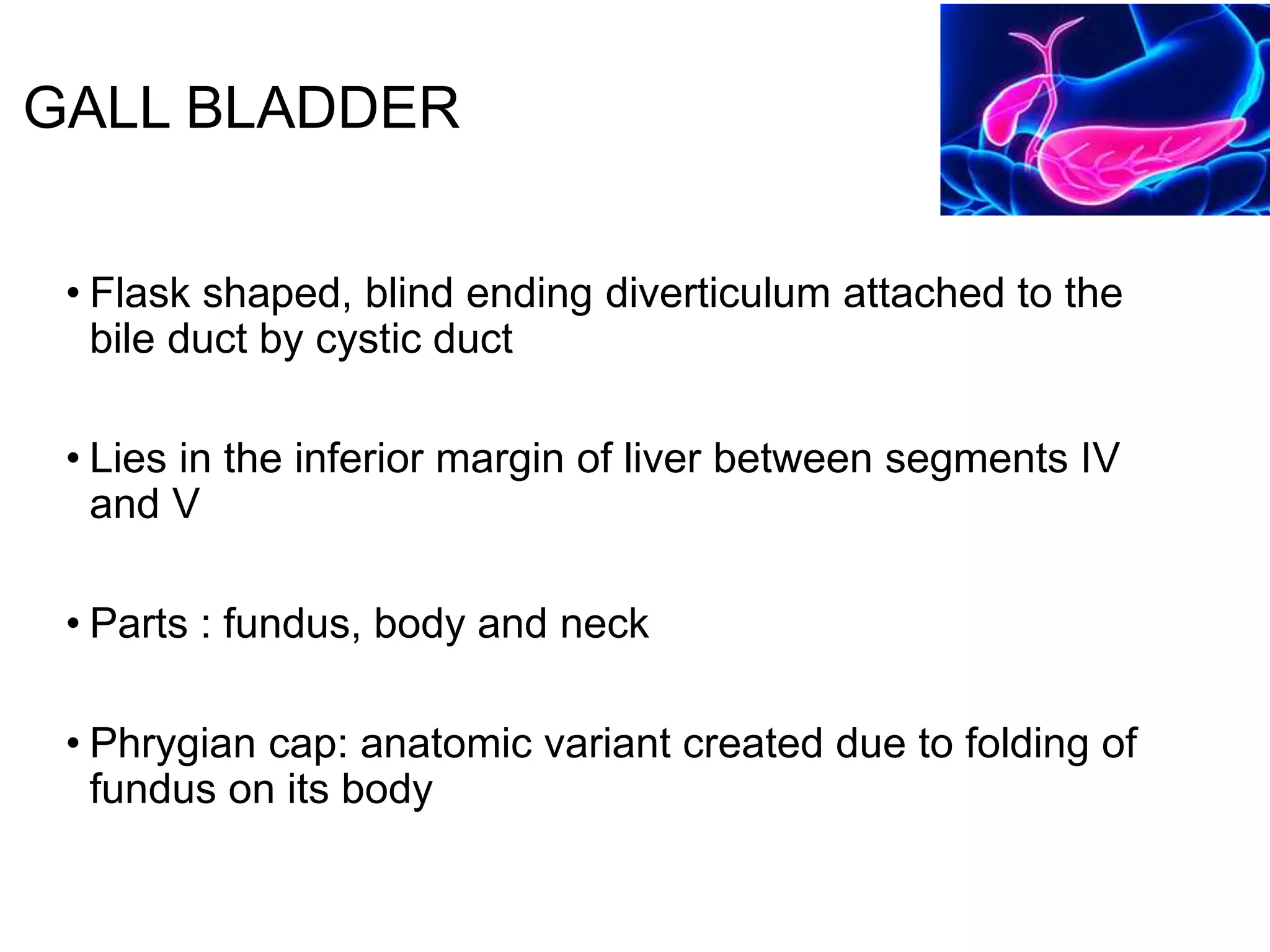 Sonographic anatomy of abdomen and pelvic organ | PPTX