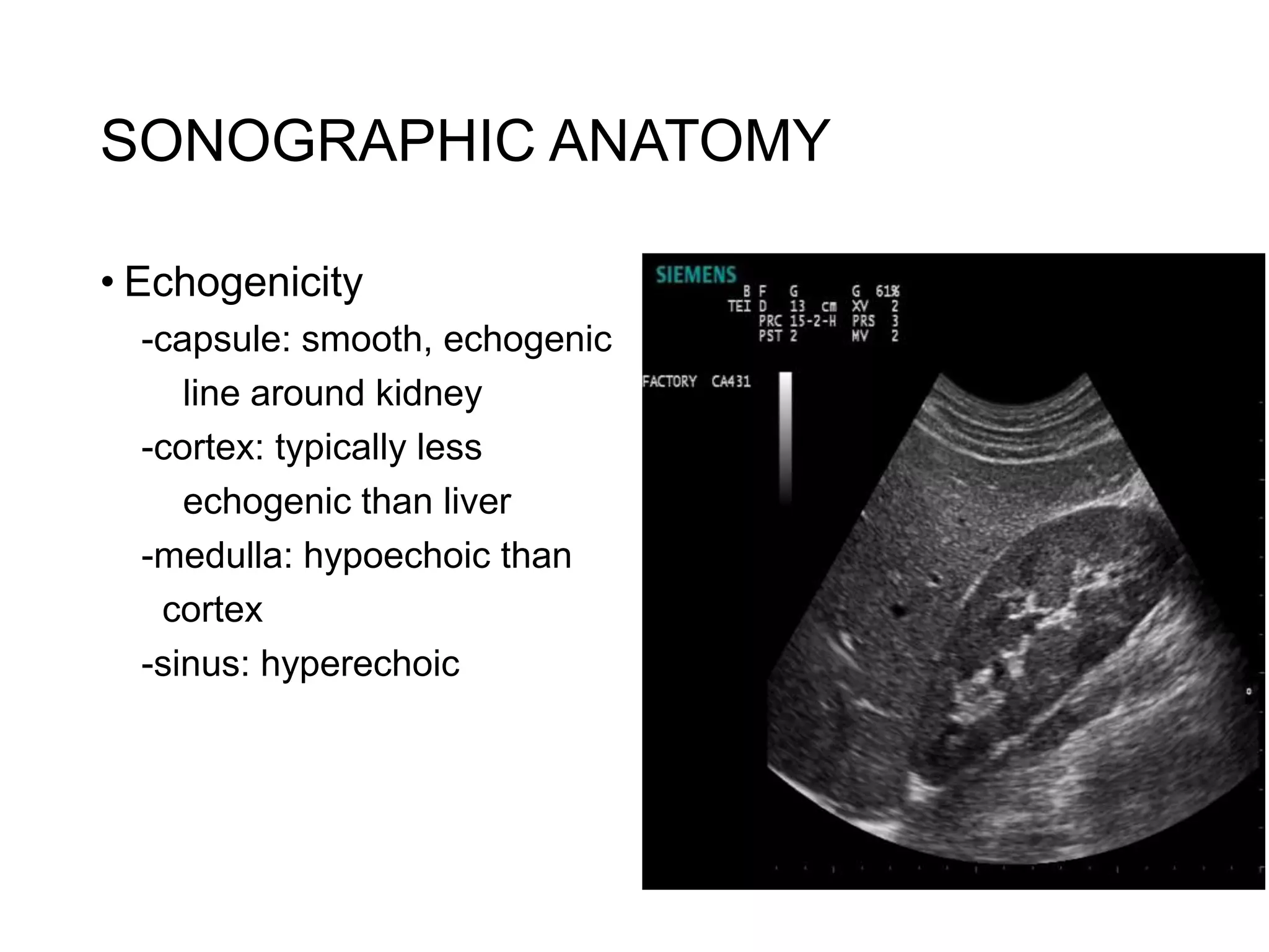 Sonographic anatomy of abdomen and pelvic organ | PPTX