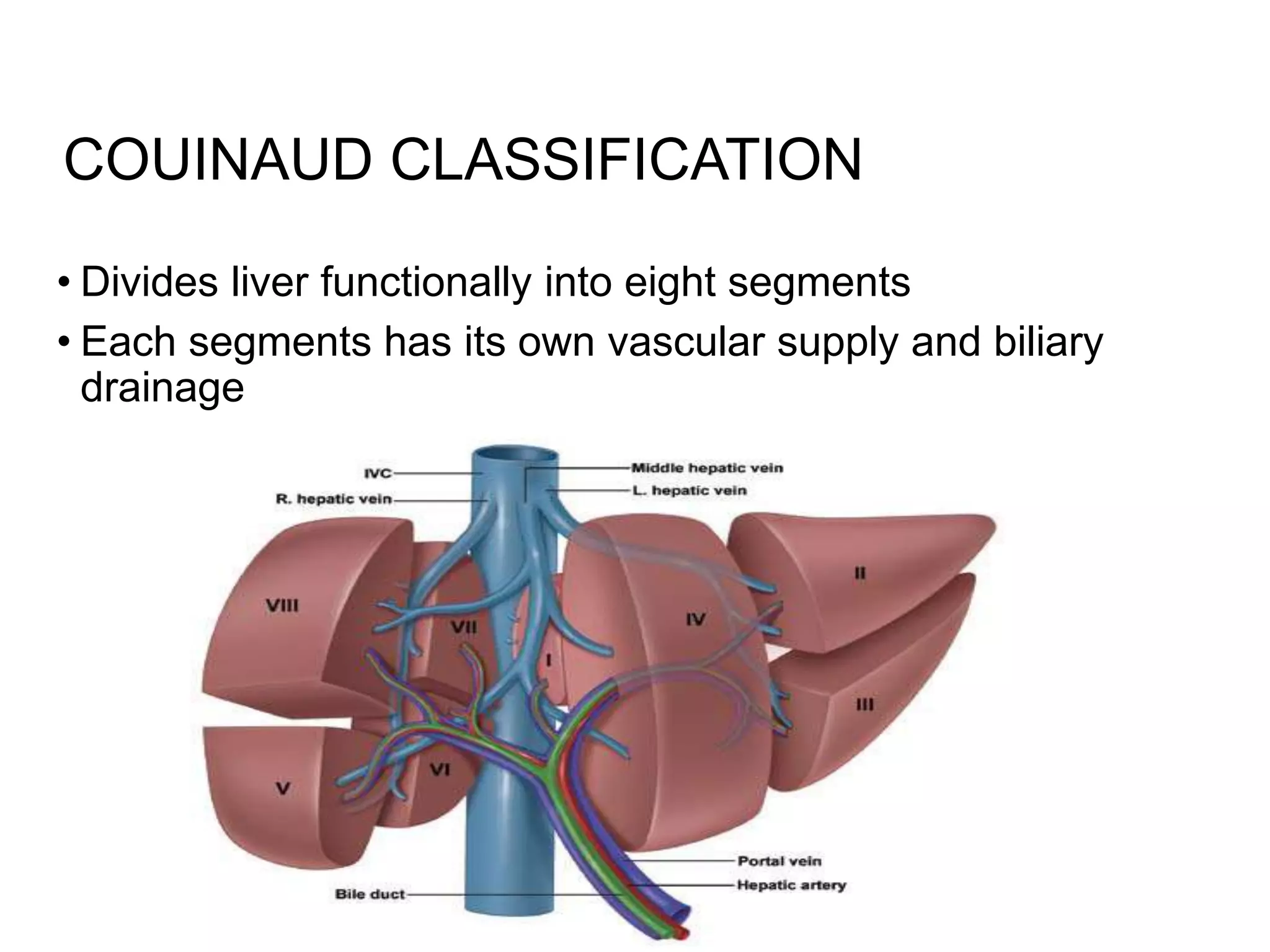 Sonographic anatomy of abdomen and pelvic organ | PPTX