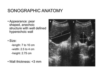 Sonographic anatomy of abdomen and pelvic organ | PPTX