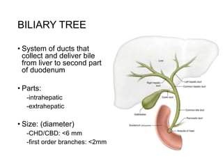 Sonographic anatomy of abdomen and pelvic organ | PPTX