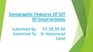 sonographic features of GIT of small Animals-1.pptx