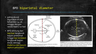 Sonography examination | PPTX