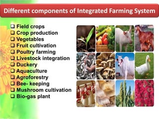 Sonoo farming system approach | PPT