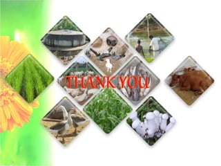 Sonoo farming system approach | PPT