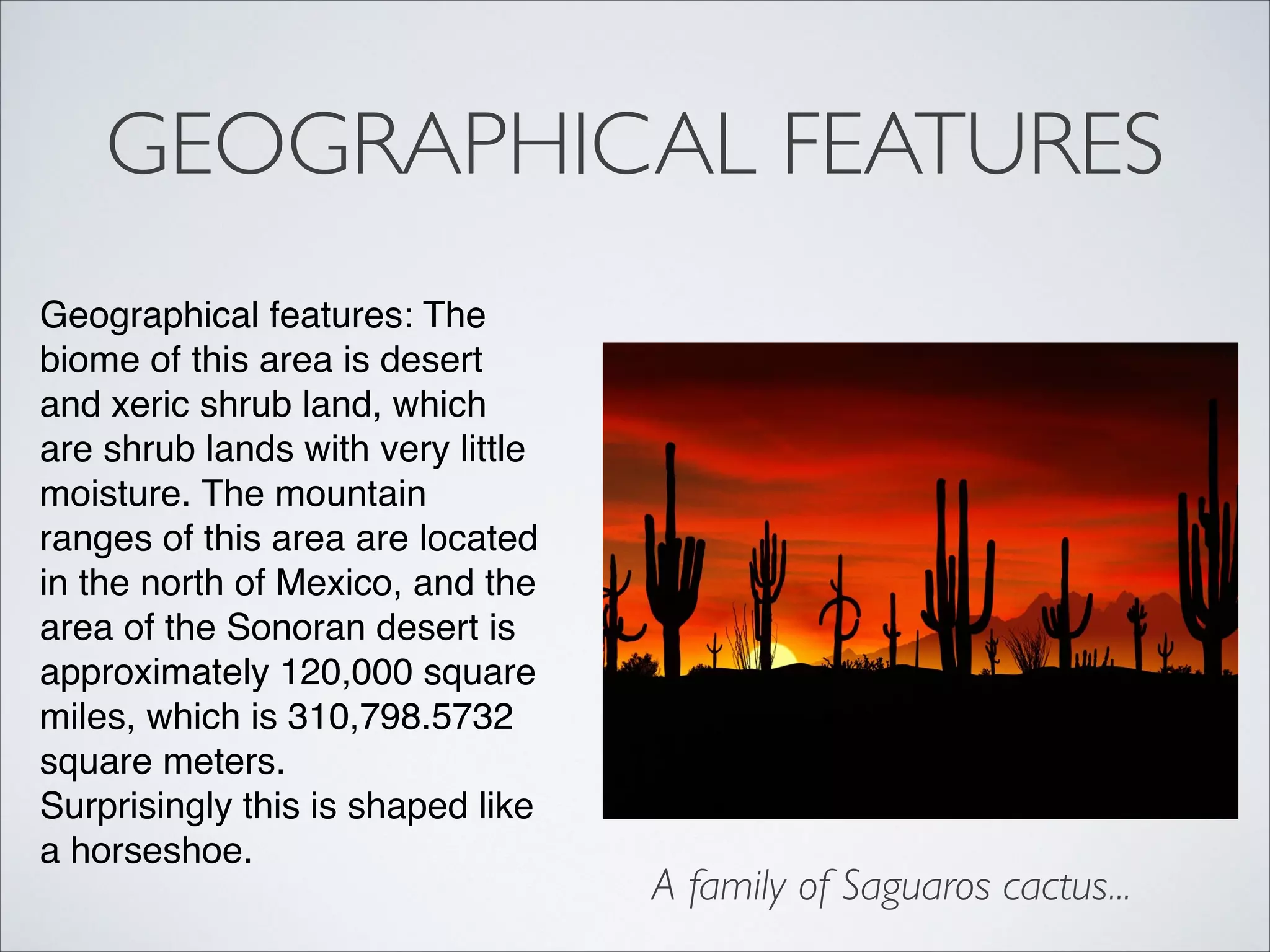Sonoran desert | PDF