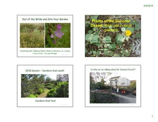 Sonoran desert 2018-notes | PPT