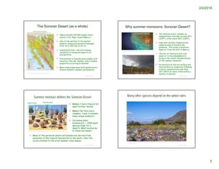 Sonoran desert 2018-notes | PPT
