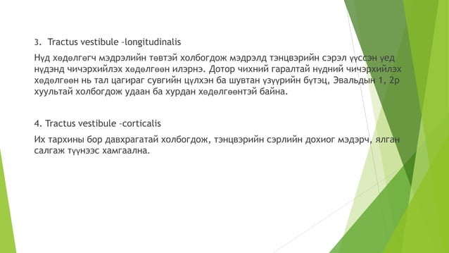 Сонор тэнцвэрийн эрхтэн ( Sonor tencweriin erhten ) | PPTX