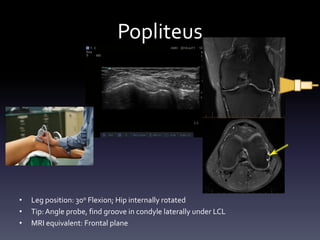 Ultrasound - Knee | PDF
