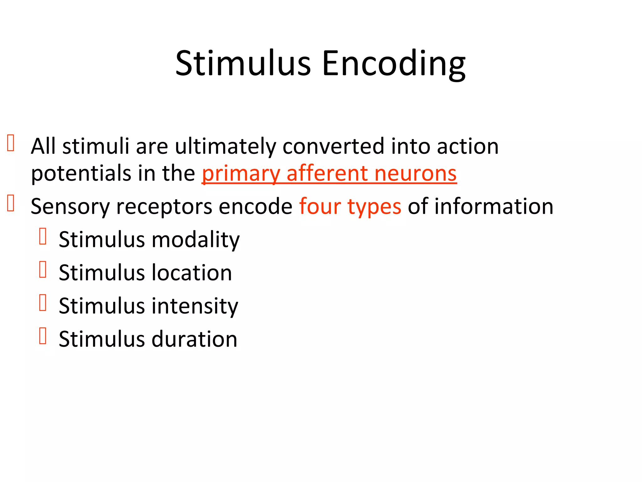 Sonsory receptors | PPT