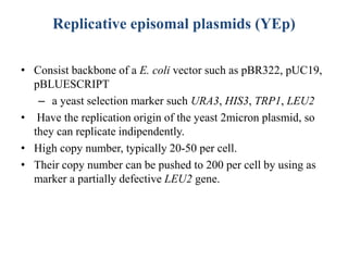 yeast molecular biology | PPTX