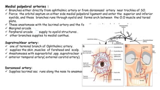 ocular blood supply | PPT