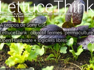 FIRA 2016 : Sony Computer Science Laboratory | PDF | Robotics ...