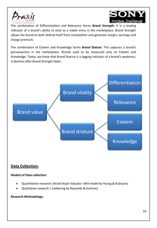 Sony Brand Image Measurement | DOCX