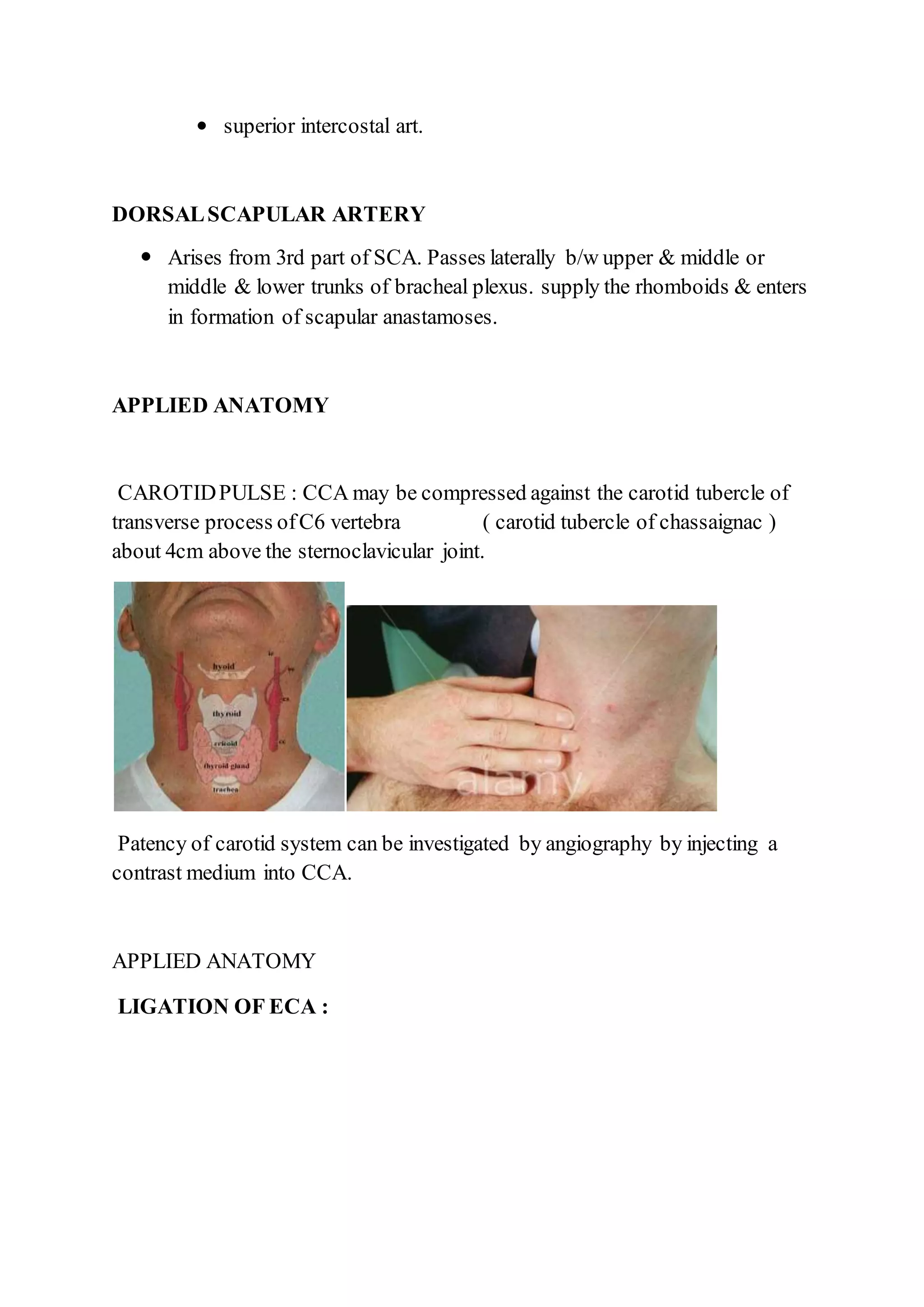 Blood supply and nerve supply to head and neck | DOCX