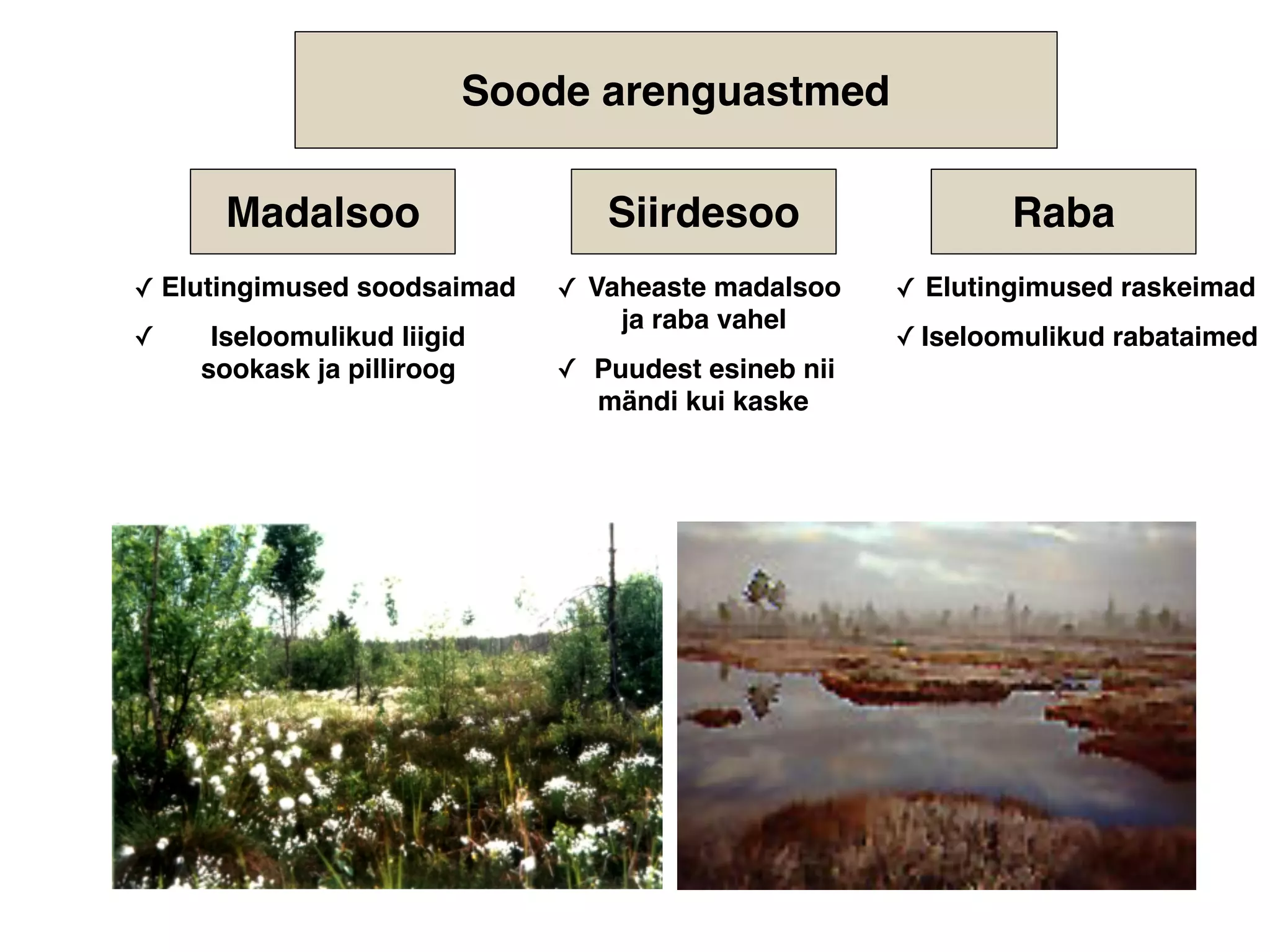 Soode arenguastmed | PDF