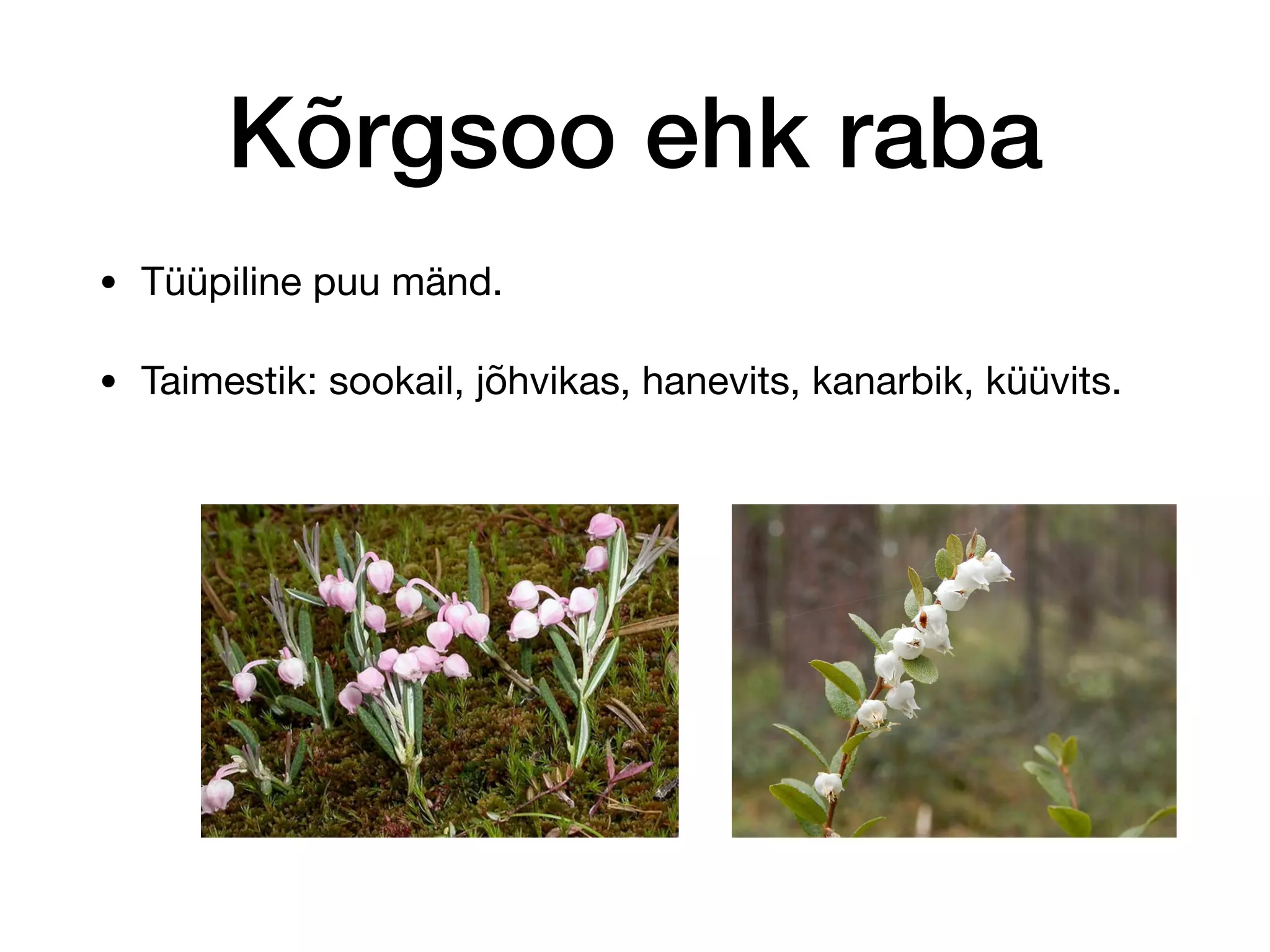 Soode arenguastmed | PDF