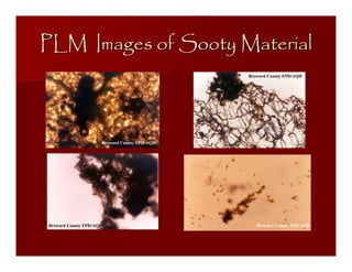 sootymold.pdf