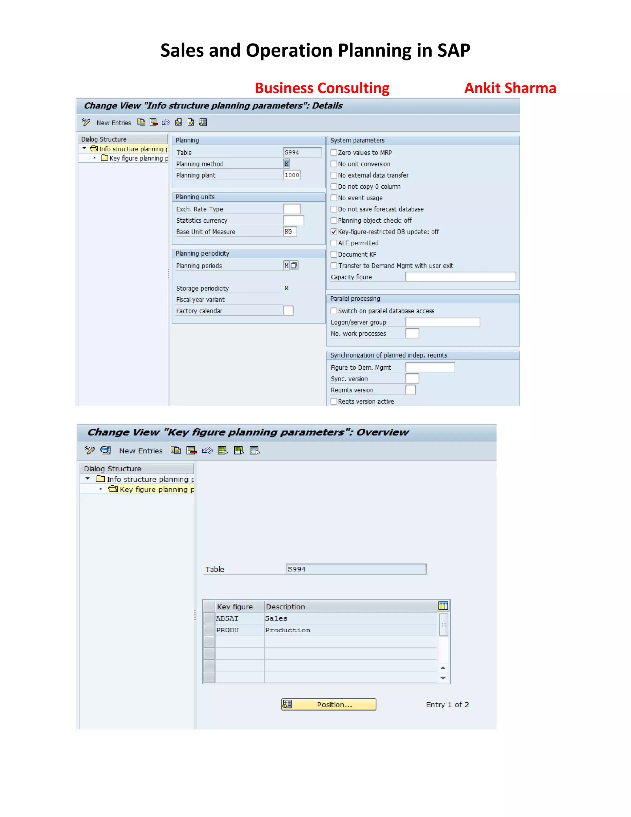 Sales and Operation Planning in SAP | PDF