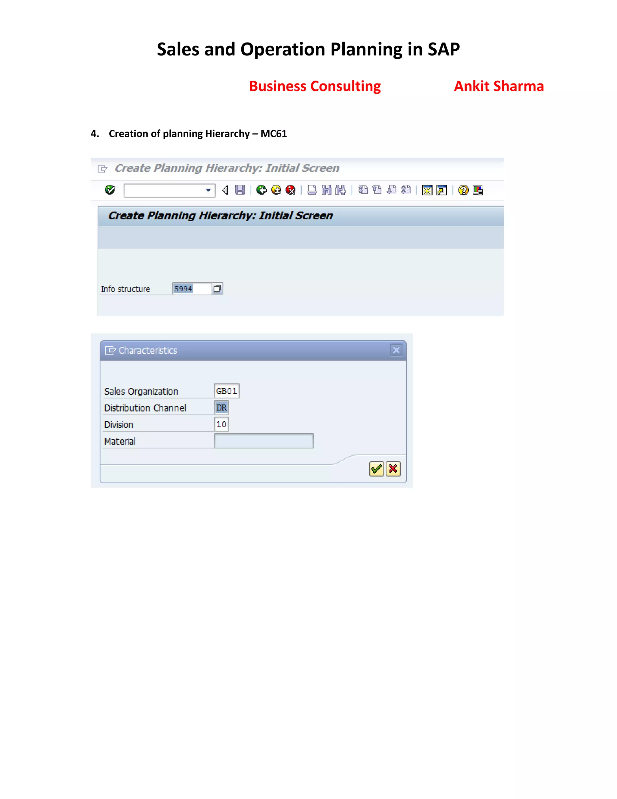 Sales and Operation Planning in SAP | PDF