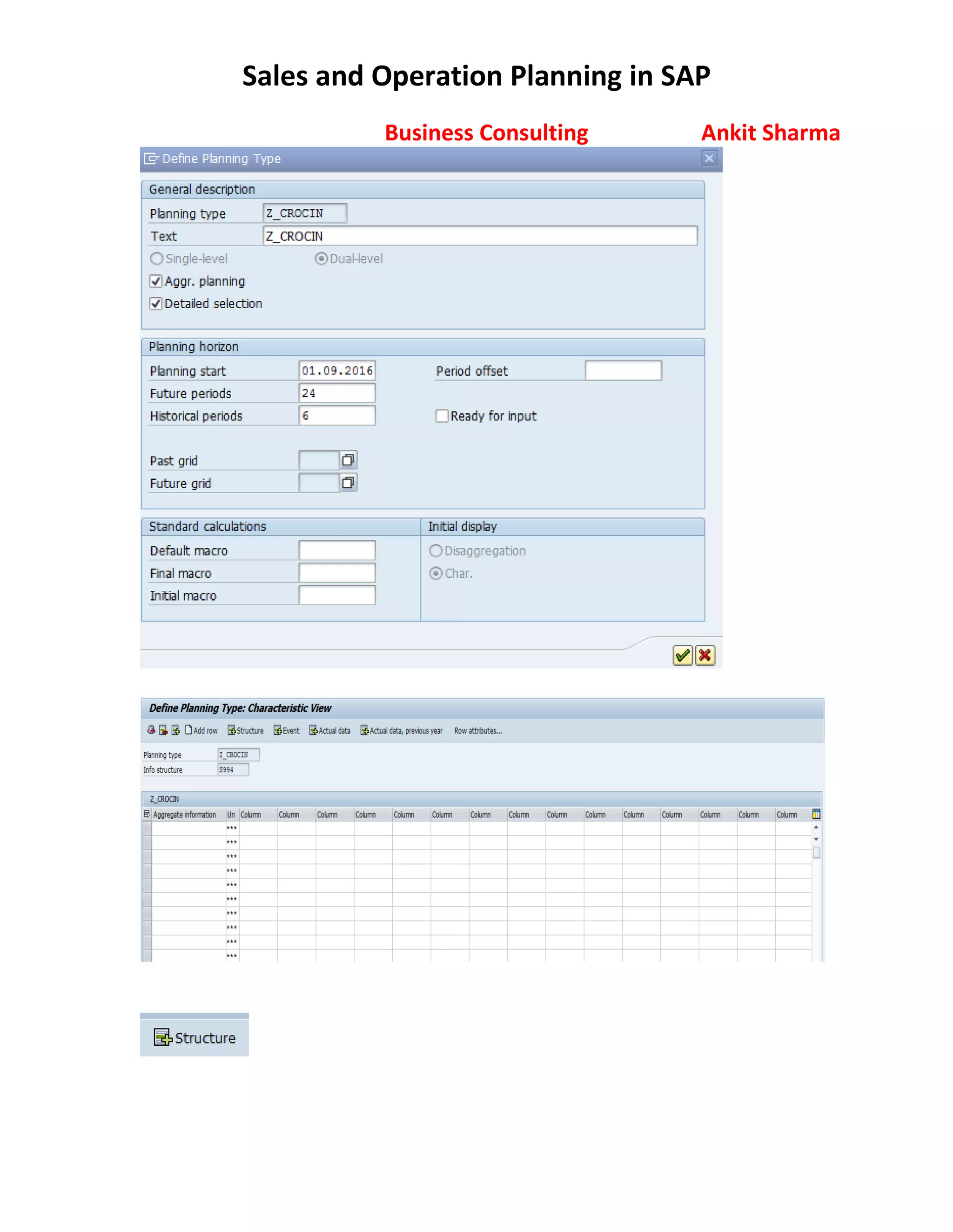Sales and Operation Planning in SAP | PDF | Sales | Business