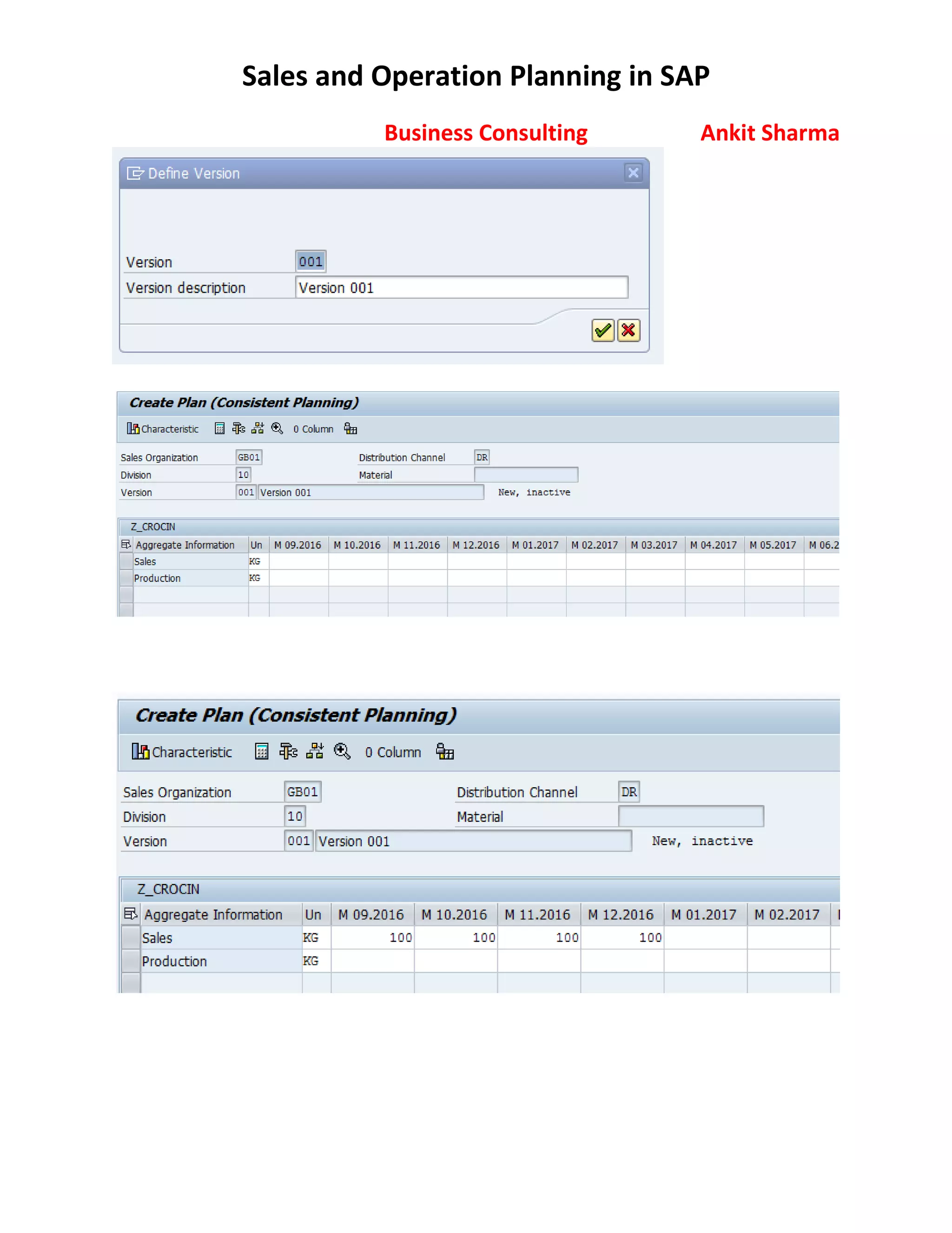 Sales and Operation Planning in SAP | PDF