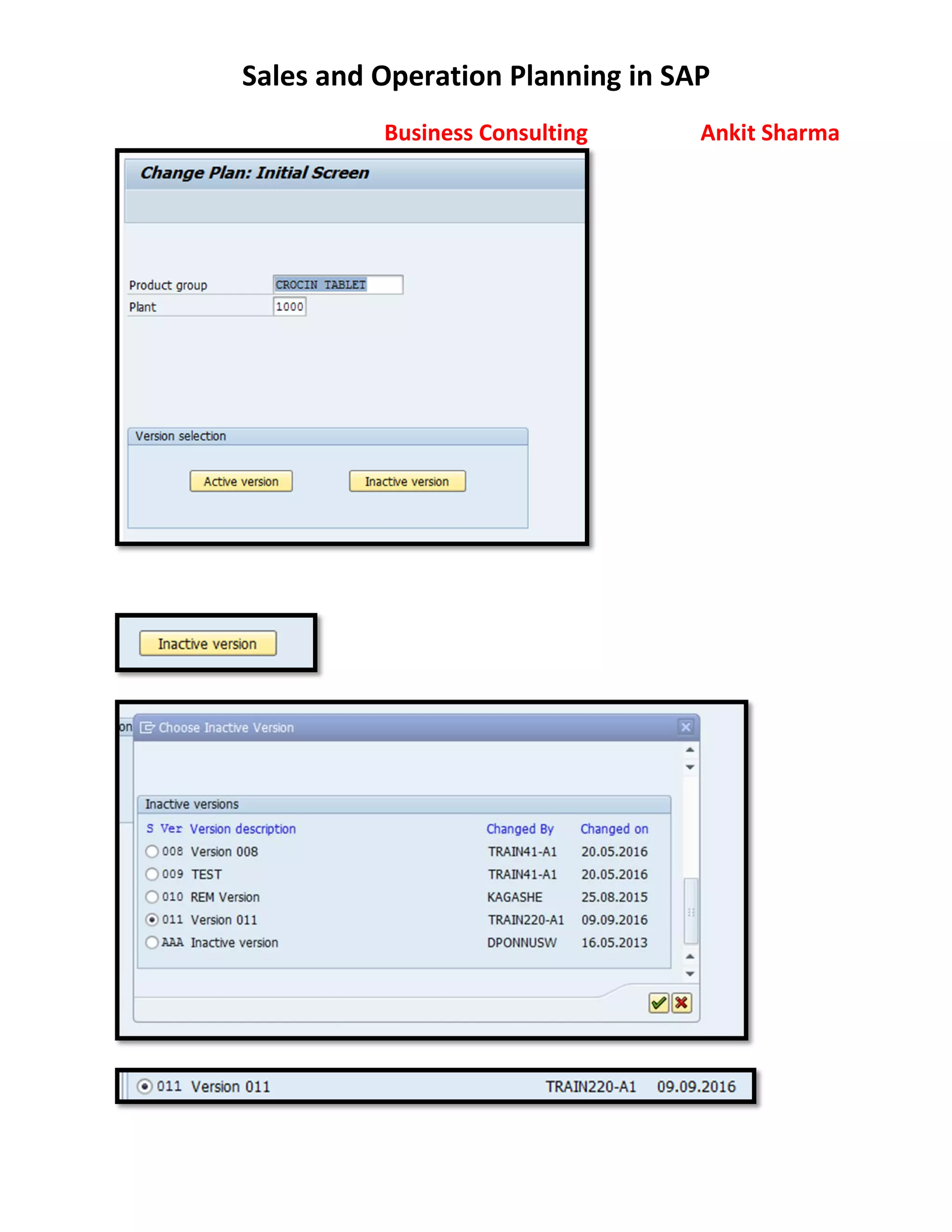 Sales and Operation Planning in SAP | PDF