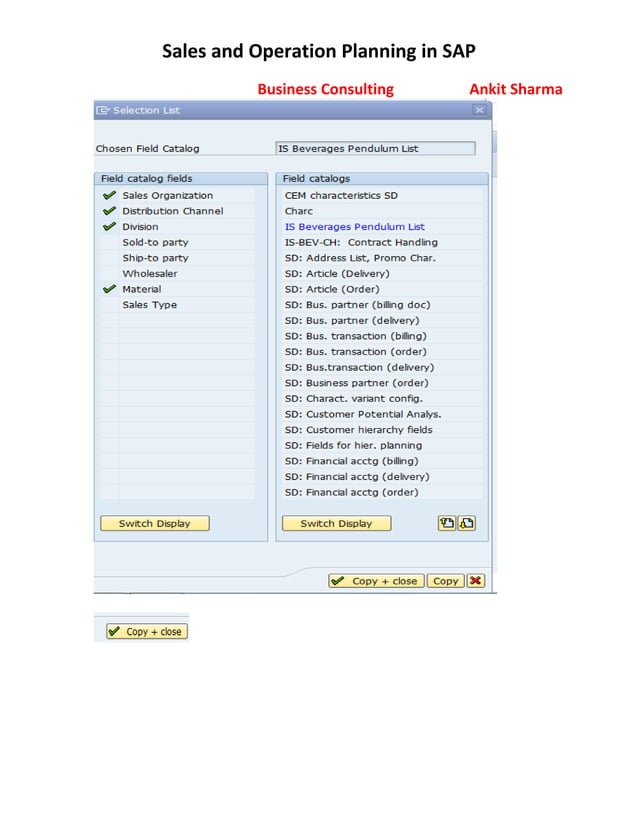Sales and Operation Planning in SAP | PDF | Sales | Business