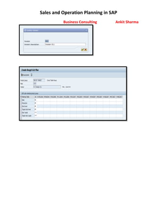 Sales and Operation Planning in SAP | PDF