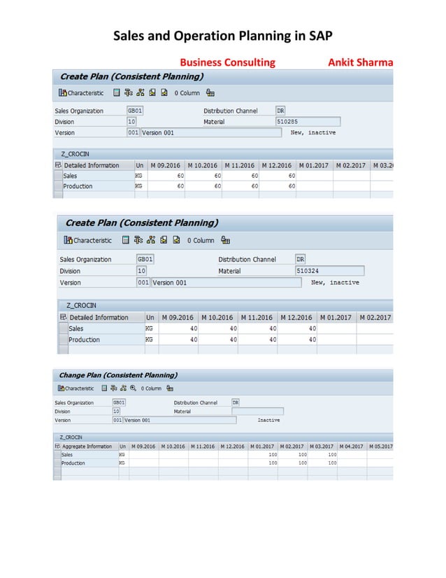Sales and Operation Planning in SAP | PDF | Sales | Business