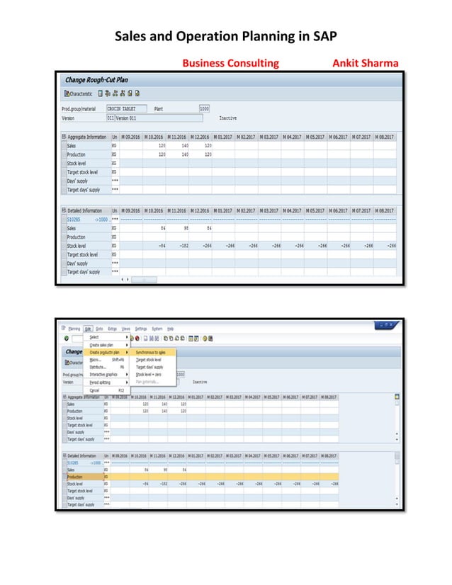 Sales and Operation Planning in SAP | PDF | Sales | Business