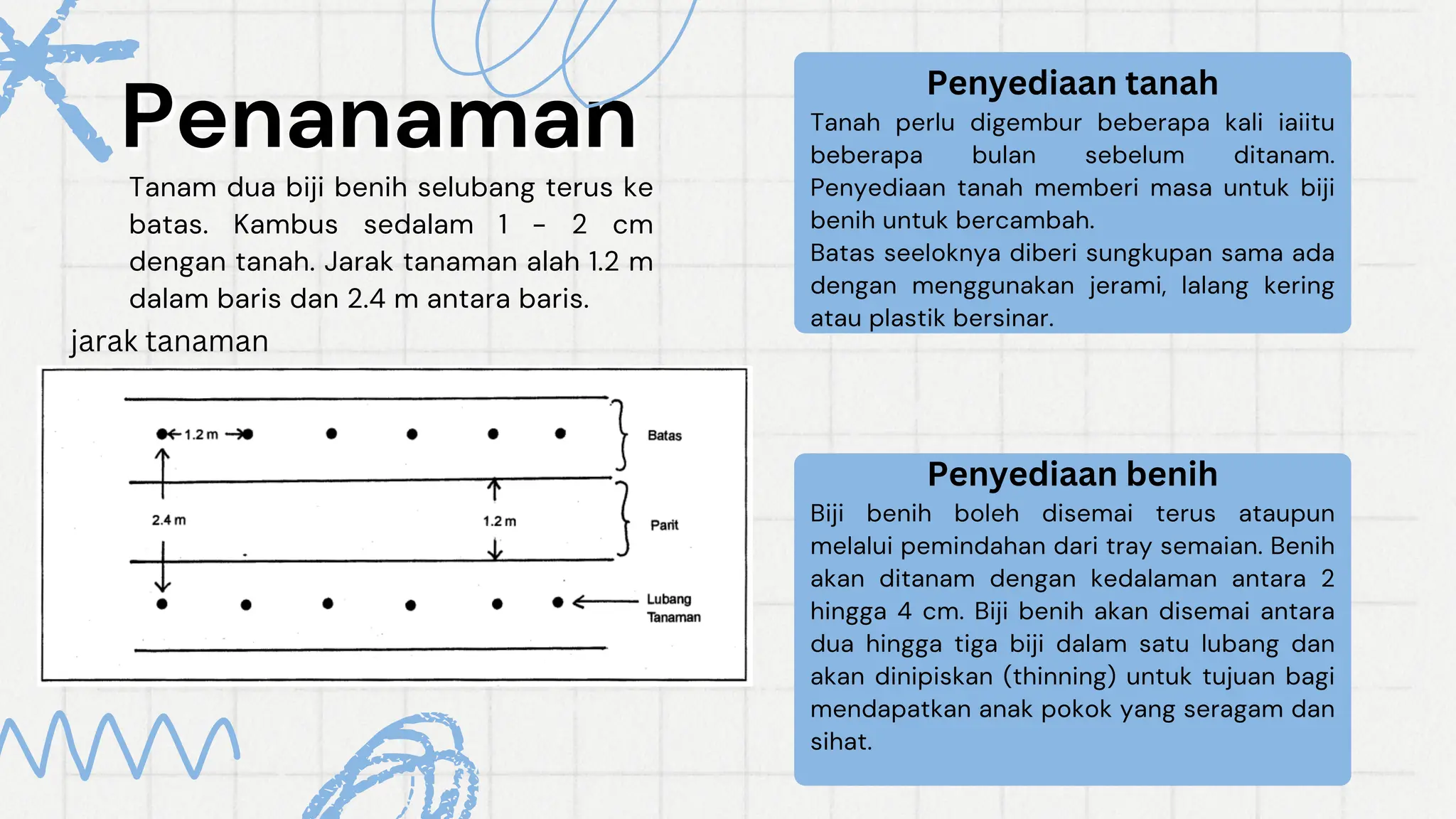sop-penanaman-labu-manis-sop-penanaman-labu-manis | PDF