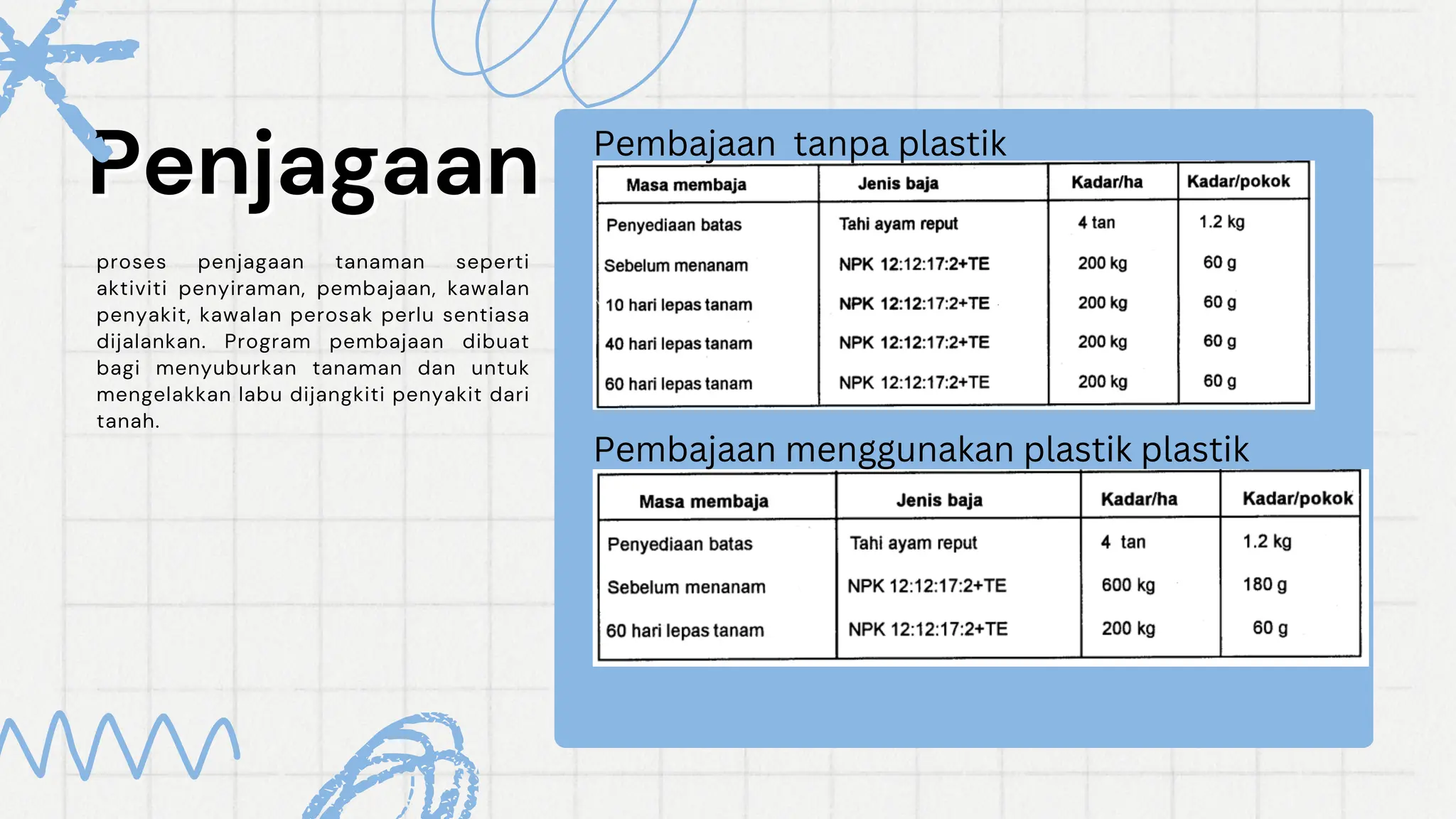 sop-penanaman-labu-manis-sop-penanaman-labu-manis | PDF