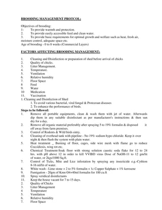 Sop poultry برتكول الامن الحيوى للدواجن | PDF