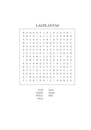Sopa de letras las plantas | PDF