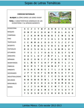 Sopa de letras p5 2bim | PDF