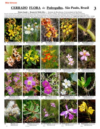 São paulo - pedregulho- cerrado flora | PDF