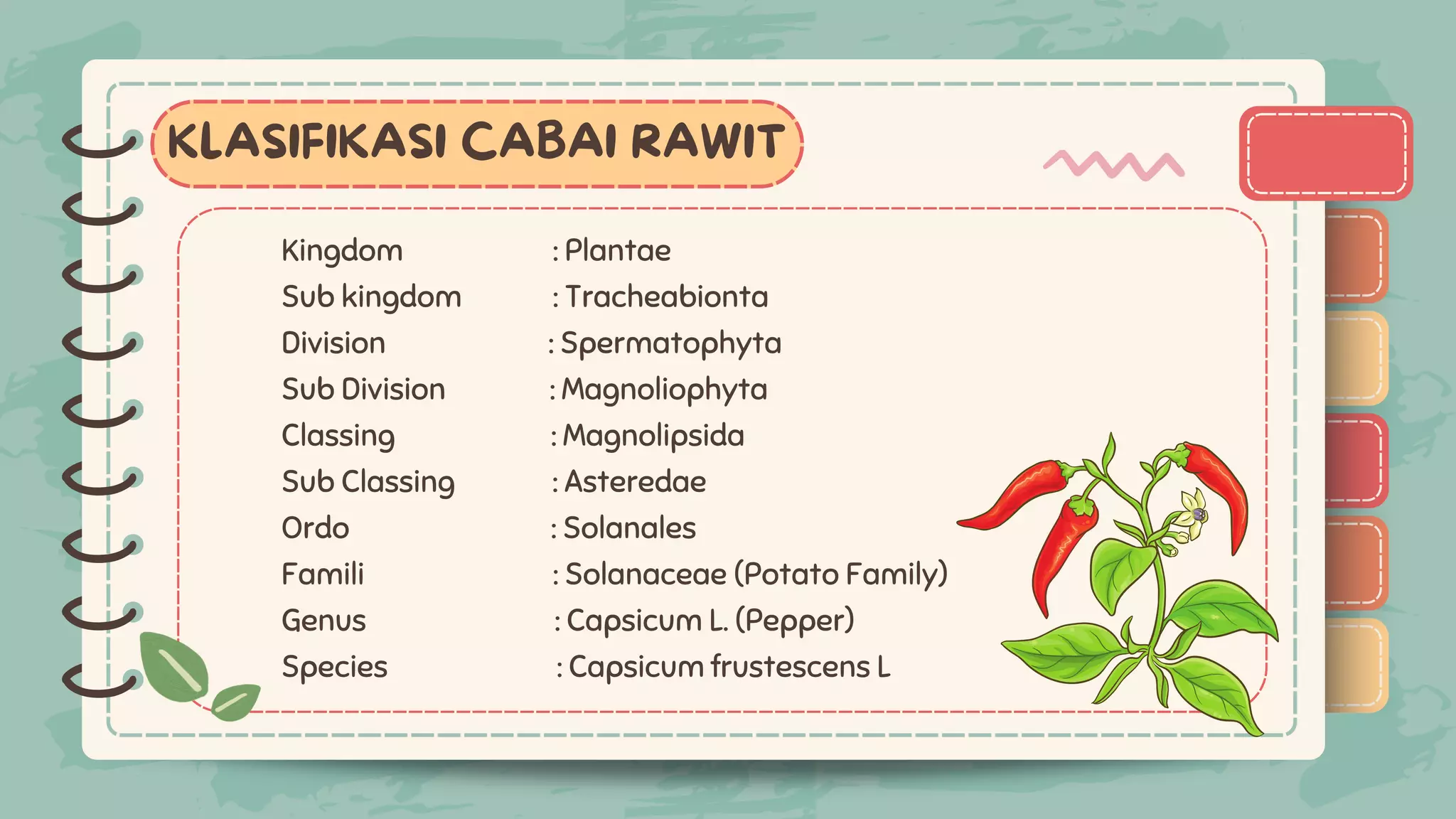 SOP Budidaya Sayur-Thalitha Sabrina.pdf