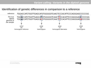 Variant calling and how to prioritize somatic mutations and inheritated variants in NGS data: an ...