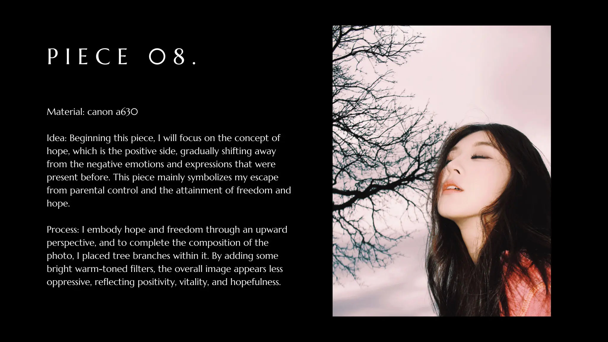 2024 AP Art 2D Portfolio- Sophie Score: 4 | PDF