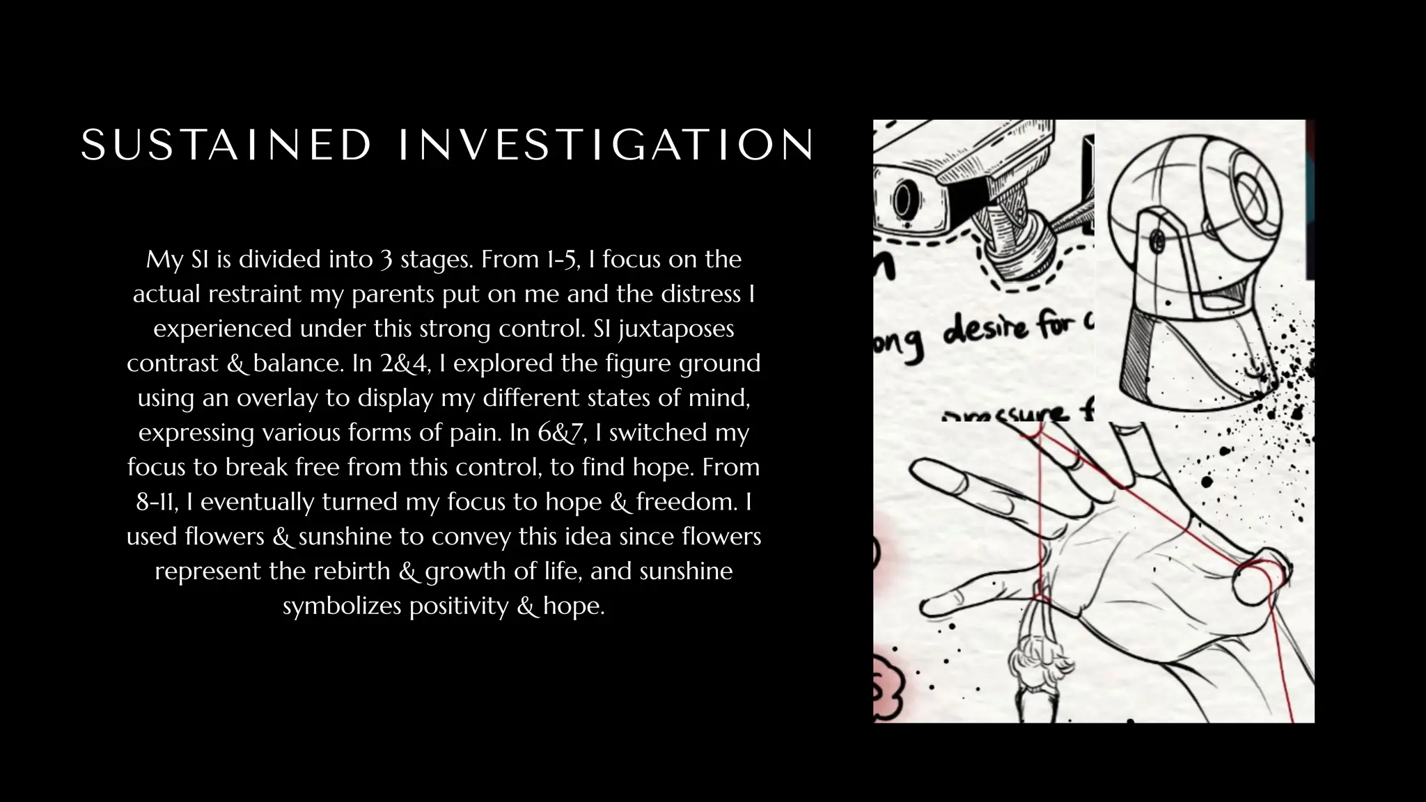 2024 AP Art 2D Portfolio- Sophie Score: 4 | PDF