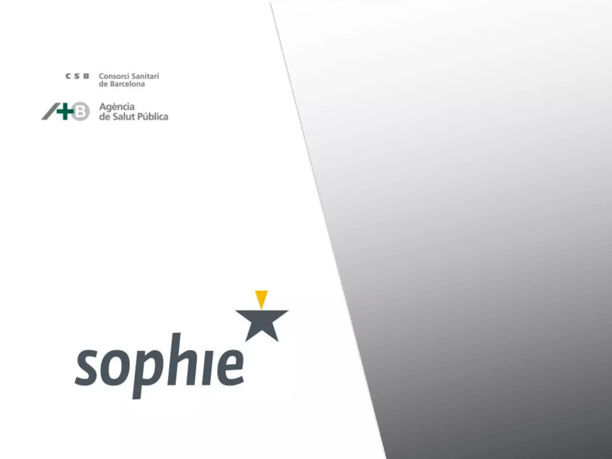 Sophie project overview | PPTX