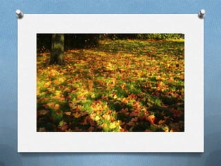 electronic profile | PPTX