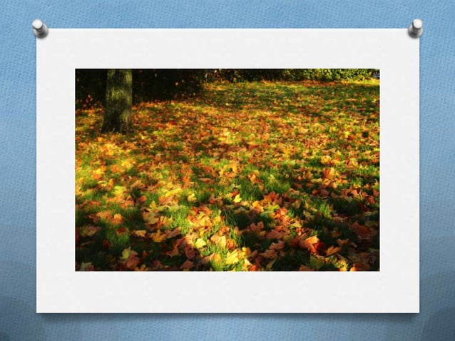 electronic profile | PPTX