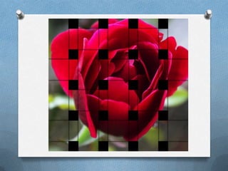 electronic profile | PPTX